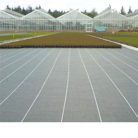 Pg Horticulture Ltd