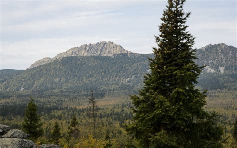 Огурец Таганай Фото — Картинки фотографии