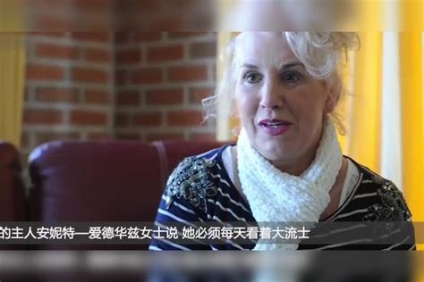 世界上最大的兔子，兔子中的巨无霸，网友：土豪才养得起兔子土豪网友