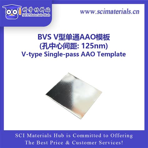 BVS V型单通AAO模板 孔中心间距 125nm 科学材料站 SCI Materials Hub