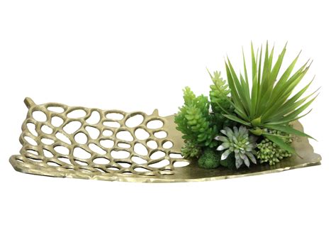 Golden Hole Platter Succulent Bundle Sweetgrass Galleries