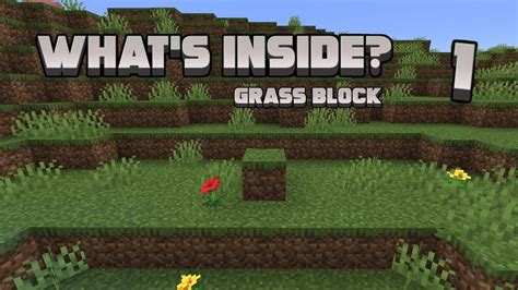 Whats Inside Grass Block Minecraft Youtube