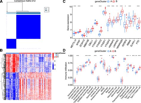 Identification Of 2 Distinct M6a Gene Patterns A Consensus Matrices