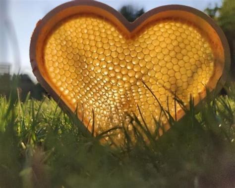 Heart Shaped Honeycomb A Closer Look At The Heart Of The Hive Mybeeline