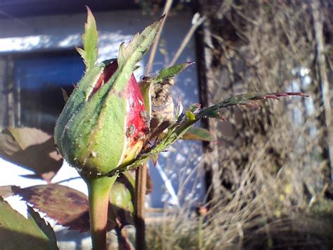 Samsung Galaxy A G RECENZIA Skvelý ale s jednou chybu na kráse Alza sk