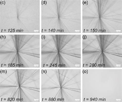 Real Time Control Over A Chemical Reaction Network By Light Lifeboat News The Blog