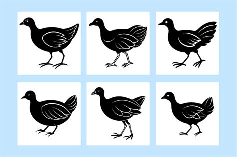 Pukeko Bird Running Vector Illustration Png Images Eps Free Download Pikbest