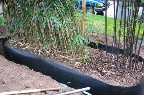 Tree Cutting Service In Kalyan ID