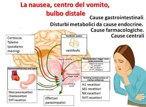 Senso Di Nausea Sinonimo Store