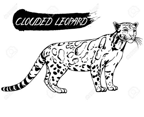 The Best Free Clouded Drawing Images Download From 50 Free Drawings Of