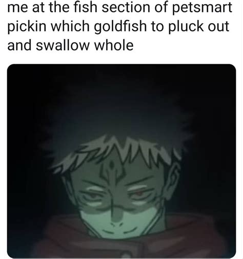 Jujutsu Kaisen Meme Naruto