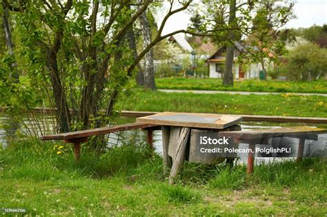 폴란드에서 볼 수 있는 공공 공원 한가운데에 있는 광활하면서도 얕은 강이나 호수 옆 언덕 꼭대기에 서 있는 둥근 나무 테이블과 두 개의 나무 와 금속 벤치가 수작업으로