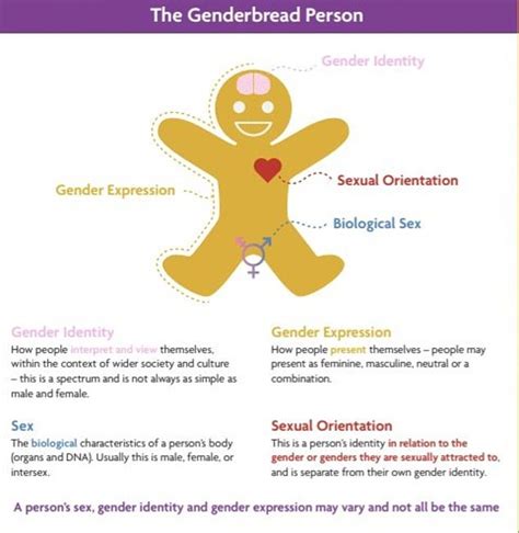 The ‘genderbread Person Will See You Now Nhs Could Start Sticking