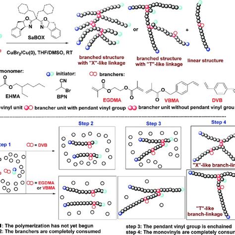A Atrcp For The Synthesis Of Branched Polymethacrylates B The Download Scientific Diagram