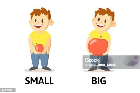 만화 캐릭터와 단어 작고 큰 플래시 카드 반대 형용사 설명 카드 흰색 배경에 격리된 플랫 벡터 그림입니다 가공의 인물에 대한 스톡 벡터 아트 및 기타 이미지 Istock