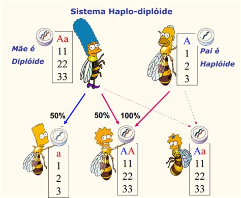 Formigas Porque as Operárias cuidam da Rainha