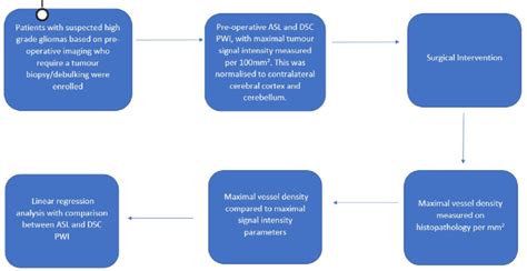 Flow Chart Summarising Workflow Process For Asl And Dsc Analysis And