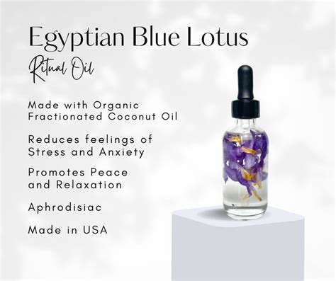 Egyptian Blue Lotus Oil Blue Lotus Ritual Oil Serenity And Spiritual