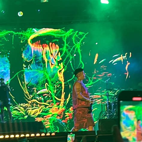 Zaed Cg Zaed Dk • Instagram Photos And Videos