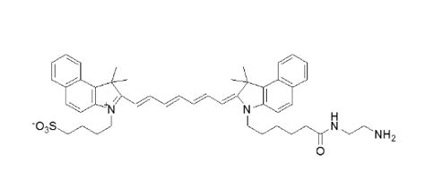 齐岳定制ICG amine，ICG-NH2，cas1686147-55-6使用说明书/哪家质量好/偶联物 - 哔哩哔哩