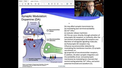 neural integration and synaptic modulation youtube