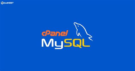 Bodhost Ltd On Linkedin How To Delete A Mysql Database In Cpanel