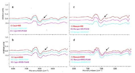Nir Spectra Of Initial Is And Residual Rs Poam And Rs Posp Download Scientific Diagram