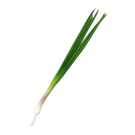 Ladaidra Brown Fhgksm Realistic Artificial Garlic Scallions Model Food