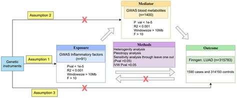 Mr Analysis Process Flowchart Download Scientific Diagram