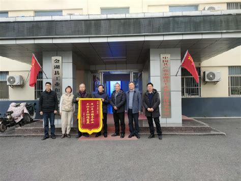 精准服务 助企发展 新华网