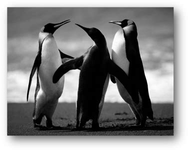 Opencv Python Tutorial Computer Vision Using Opencv Edureka