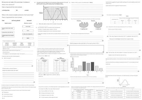 Igcse Cie A3 Exam Sheet Enzymes Teaching Resources