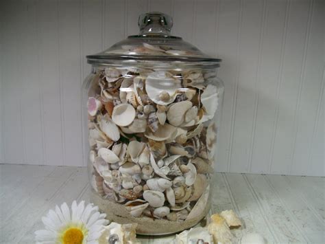 Divine Orders Vintage Shop At Etsy — Huge Glass Jar Filled With Sea