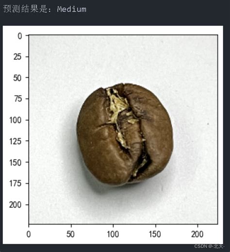 深度学习 Day29——利用pytorch实现咖啡豆识别py实现多种颜色的豆子识别 Csdn博客