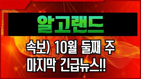 알고랜드 속보 10월 둘째 주 마지막 긴급뉴스 Youtube
