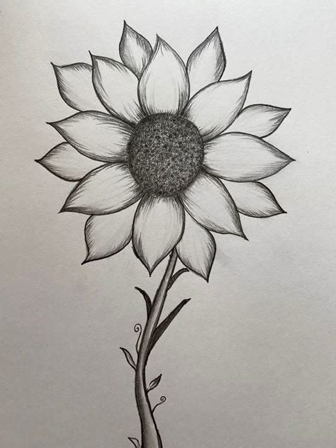 Dibujos De Flores A Lapiz Faciles