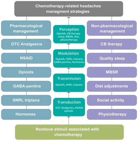 Intrathecal Chemotherapy Guidelines Nhs