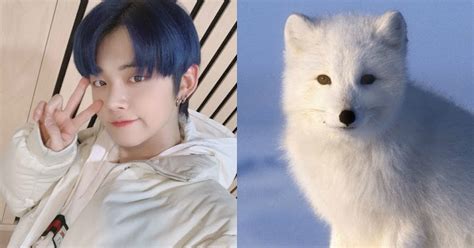 TXT's Yeonjun Knows He's A Fox... Two Kinds Of Foxes, To Be Exact - Koreaboo