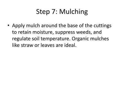 Cassava Propagation Cas Sava Propagation Pptx