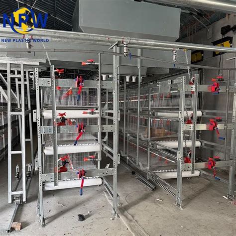 Buy Automatic Broiler Chicken Farming H Type Battery Breeding System Chicken Cages Automatic