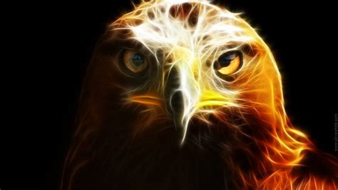 Cool Eagle Wallpapers Wallpaper Cave