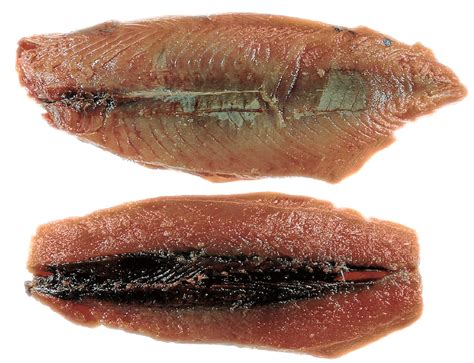 Skipjack Tuna Steaks