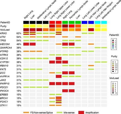 Genomic Heterogeneity Of Mutations Among Multiple Tumor Sites The Download Scientific Diagram