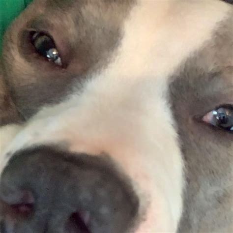 I Steal Won Swarmpsycho Tiktok Analytics Profile Videos