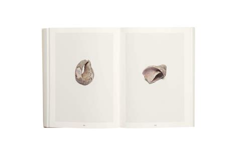 Shell Reader Bom Dia Books