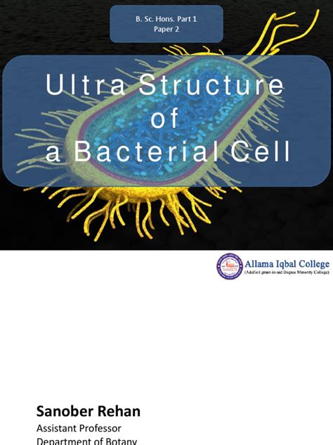 Ultrastructure Of A Bacterial Cell Pdf Cell Biology Cell Membrane