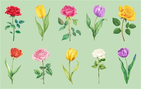 Colorful Floral Illustrations Green Element Premium Vector Rawpixel