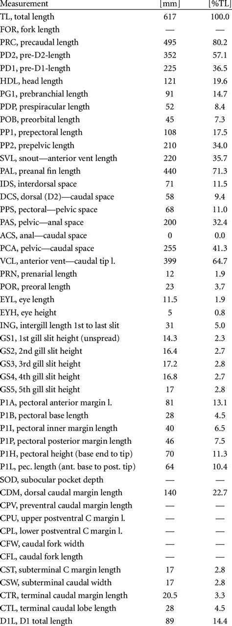Measurements Of Chiloscyllium Punctatum Zmh 25678 Weight 670 G Sex