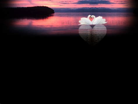 非主流黑色桌面壁纸 高清非主流壁纸 彼岸桌面