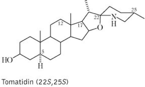 Lycopersicon esculentum - Lexikon der Arzneipflanzen und Drogen